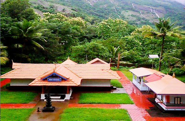 Best Hill Resorts in Idukki-Kottayam, Kerala - Mistywindvalley Homestays